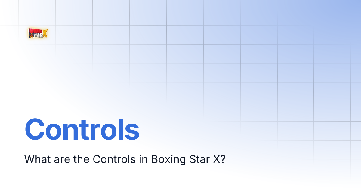 Controls | Boxing Star X